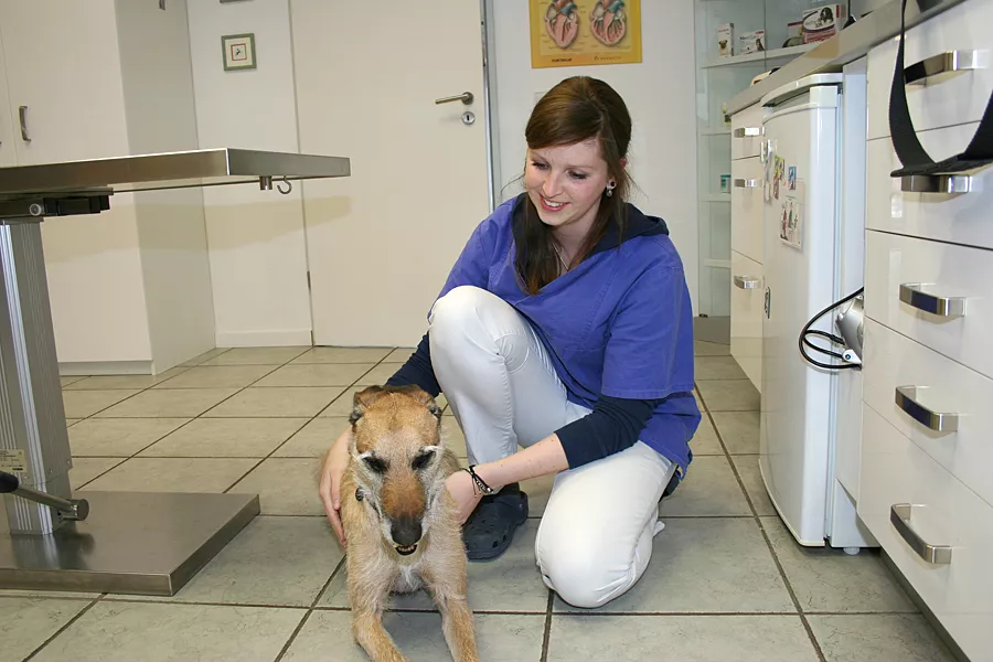 Tierarztpraxis Heidingsfeld Dennis Hahn Vormals Tierklinik Dr Schneidemann